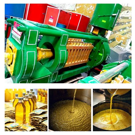 Commercial Expeller Oil Mill Machine With Filter Press And Motor At ₹ 520000 In Bareilly