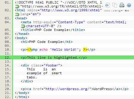 14 Best WordPress Syntax Highlighter Plugins BeginDot