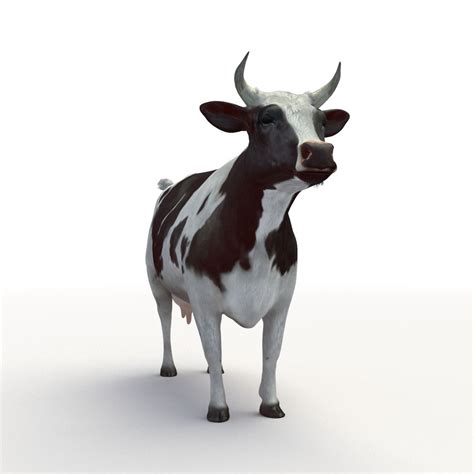 암소 두 개의 텍스처 리그 드 3d 모델 199 Ma C4d Max Free3d