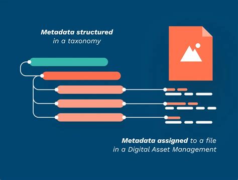 metadata taxonomy definition examples and how to use it