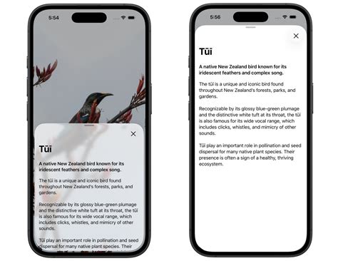 Presenting Liquid Glass Sheets In Swiftui On Ios 26