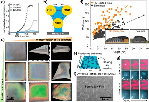 Substrate Interactions Within The Consolidation Of Biopolymeric