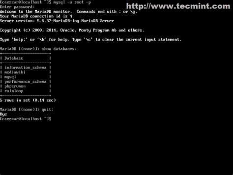 Installing LAMP Linux Apache MySQL MariaDB And PHP PhpMyAdmin In Arch Linux