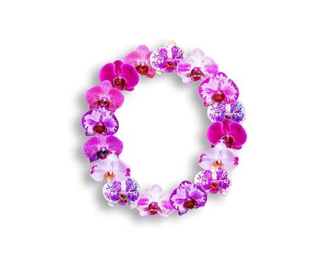 Premium Photo O Shape Made Of Various Kinds Of Orchid Flowers