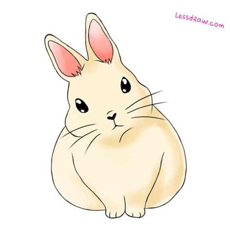 Как нарисовать зайчика | Drawings, Draw, Cute fox