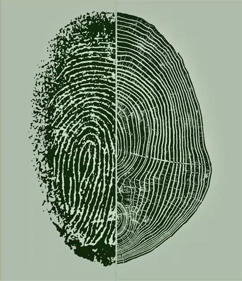 Personalized Fingerprint Tree Ring Art Fingerprint Art Tree Ring Print Human Nature Nature