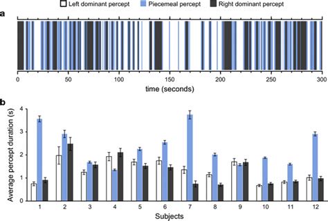 Binocular Rivalry Time Series A Perceptual State Fluctuations Of A Download Scientific Diagram