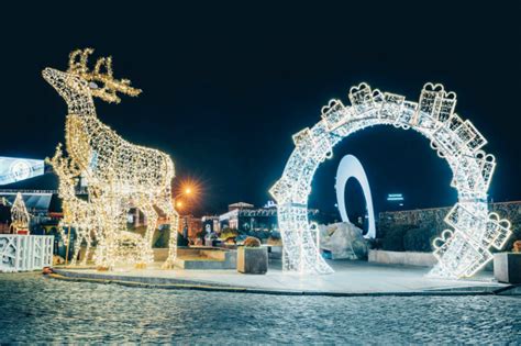 თბილისში მთავარი ნაძვის ხე და საახალწლო განათებები აინთო [ფოტო] Netgazeti • ნაძვის ხე