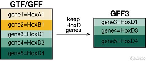 202109 01 Slicegtf Biologist J