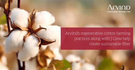 Neel Shah Posted On Linkedin