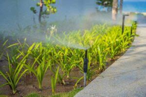 DIY Automatic Irrigation System For Any Garden
