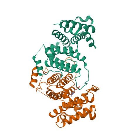 Rcsb Pdb 1ogk The Crystal Structure Of Trypanosoma Cruzi Dutpase In Complex With Dudp