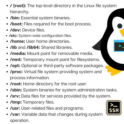 Noor Maryam On Linkedin Infosec Pentesting Cybersecurity Kalilinux Linux Redteam