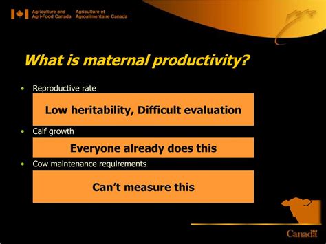 ppt enhancing maternal productivity through multiple trait selection