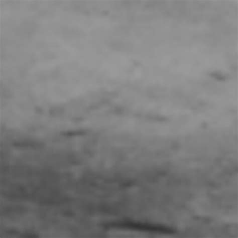 Vijit Kumar Ambedkar University Delhi New Delhi Aud University Library