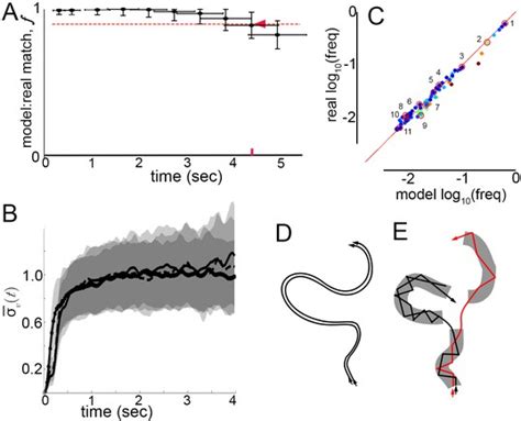 Figures And Data In Dynamic Structure Of Locomotor Behavior In Walking Fruit Flies ELife