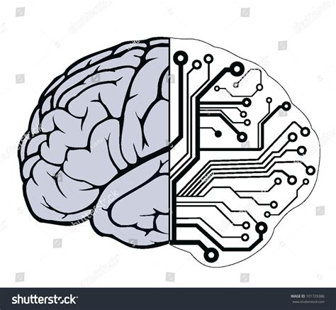human brain central processing unit vector 库存矢量图（免版税）101729386
