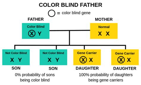 Color Blindness Pedigree Color Blindness Pedigree