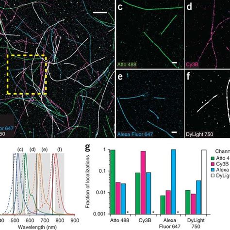 Principle Of Single Molecule Localizationbased Super Resolution Download Scientific Diagram