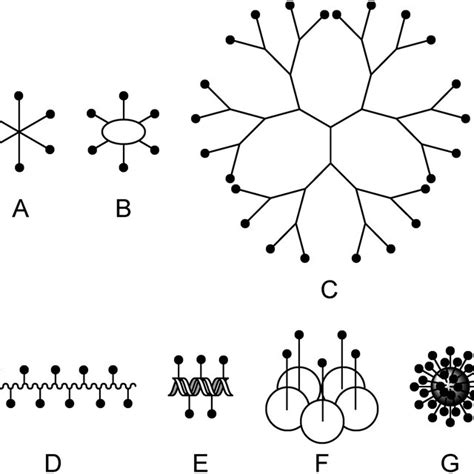 Scaffolds For Multivalent Lectin Ligands A Central Core B Cyclic