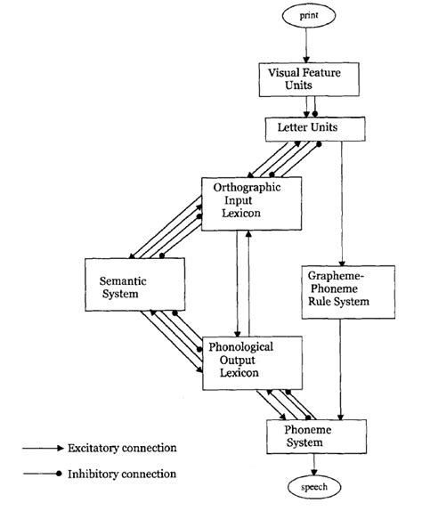 7 Dual Route Cascade Download Scientific Diagram