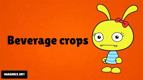 Beverage Crops Explanation At Rebecca Embley Blog