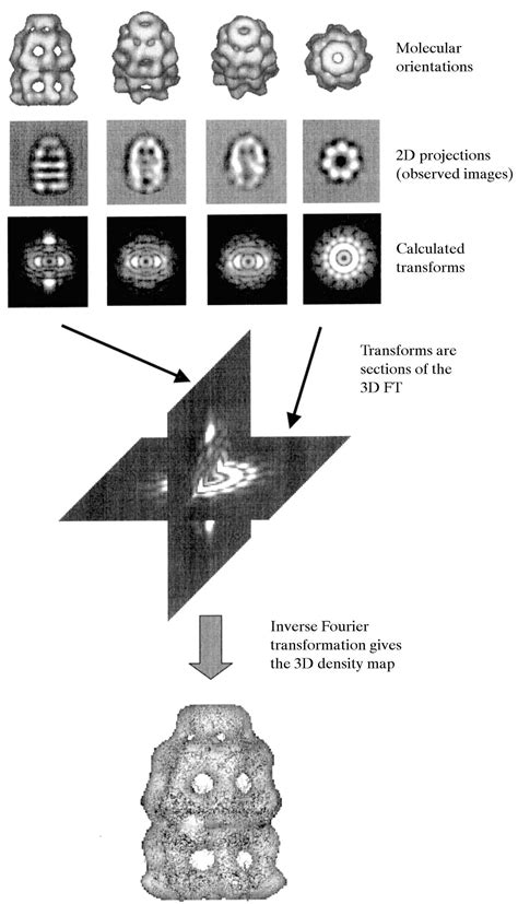 iucr macromolecular structure determination by cryo electron microscopy