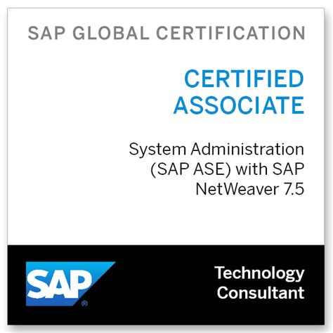 The Wombelix Post Sap Certified Technology Associate System