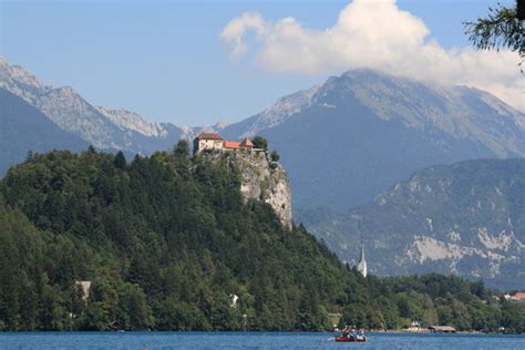 Blead Bilder Durchsuchen 38 Archivfotos Vektorgrafiken Und Videos Adobe Stock