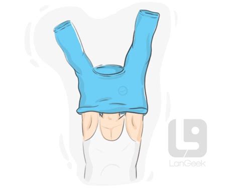 Definition And Meaning Of Assume Langeek