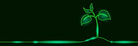 Software Recommendation How To Create Such A Design Graphic Design