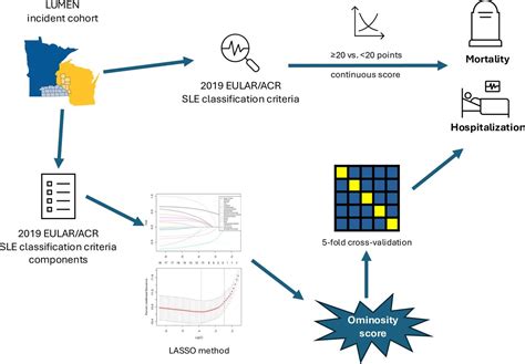 Utility Of The 2019 Eularacr Sle Classification Criteria For
