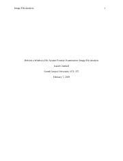 Perform A Window S File System Forensic Examination Docx Image File Analysis Perform A