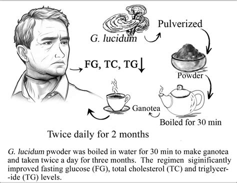 An Alternative Treatment Of Diabetes With Ganoderma Lucidum A Case Report