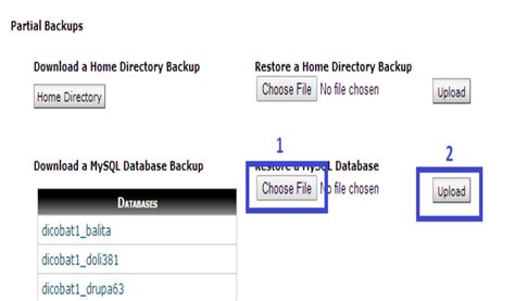 Backup Manual Dari Cpanel