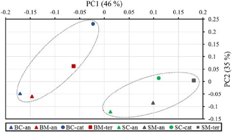 Beta Diversity Calculated As Principal Coordinates Analysis Pcoa