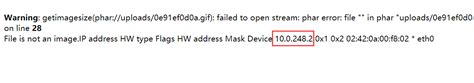 Ctf Web Reapped Buctf Nctf2019 Phar Matches Everything Automated