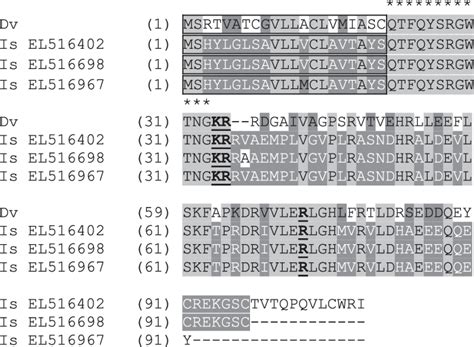 Alignment Of Dermacentor Variabilis Dv Putative Corazonin And Ixodes Download Scientific
