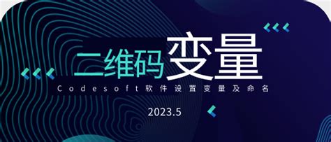 codesoft二维码怎么设置变量 codesoft二维码怎么添加变量命名 codesoft中文网站