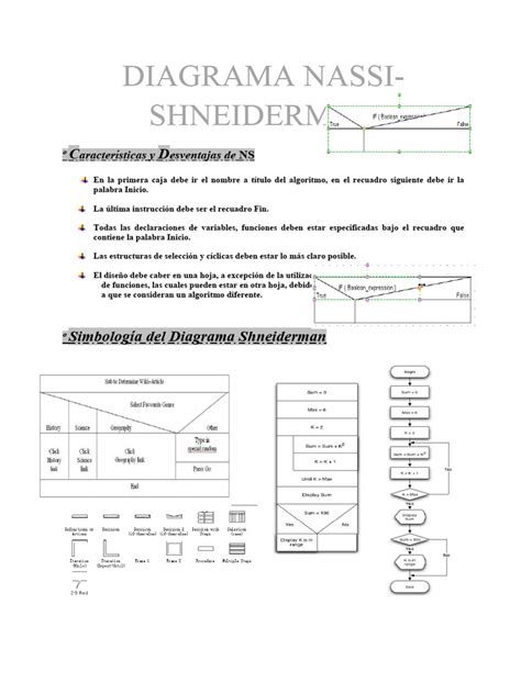 Diagrama Nassi Pdf Programa De Computadora Programación