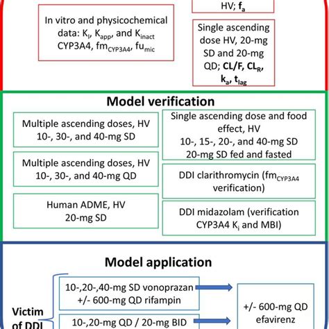 Pbpk Modeling Scheme Adme Absorption Distribution Metabolism And