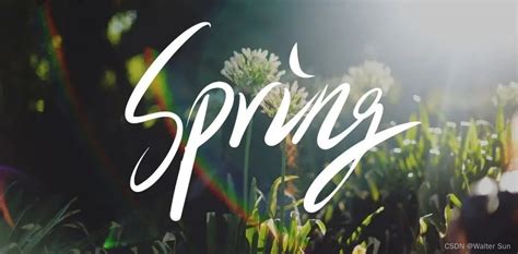 选择 guava eventbus 还是 spring framework applicationevent guava eventbus