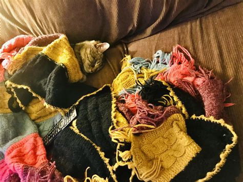 My Little Old Lady Olivia She Was Chirping In Her Sleep Scrolller