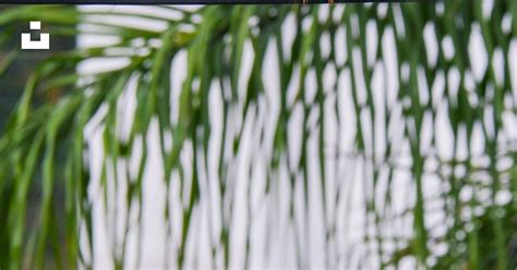 전선 위에 앉아있는 두 마리의 새 사진 Unsplash의 무료 나무 이미지