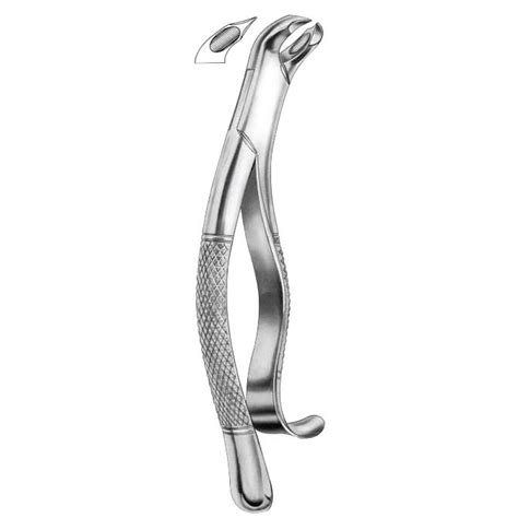 Tooth Extracting Forceps Fig Fh American Pattern Norden Tools