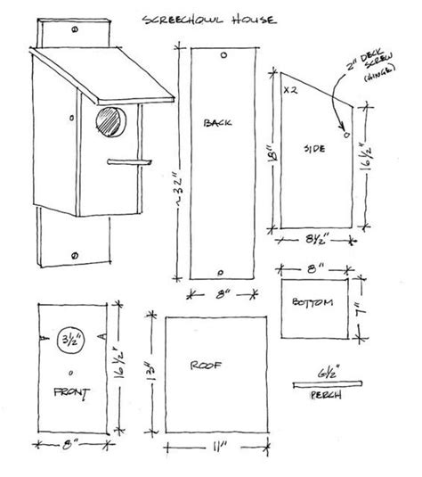 Screeh Owl House Plans Bird House Plans Bird Houses Bird House Kits