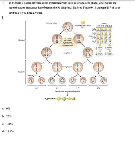 In Mendels Classic Dihybrid Cross Experiment With