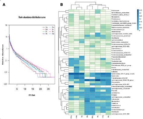A Otu Rank Abundance Distribution Curve B Heat Map Of Specimens