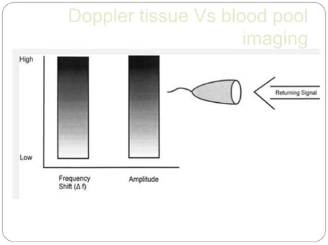 Speckle Tracking Echocardiography Pptx