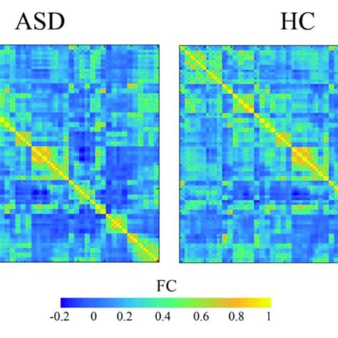 Average Functional Connection Matrix Of The Asd Group And Hc Group Download Scientific Diagram